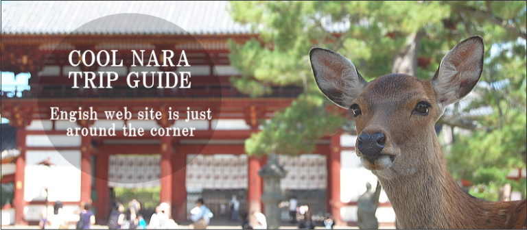 Nara Walking Tour & Nara guide | COOL NARA GUIDE｜Travel tips to Nara, Japan