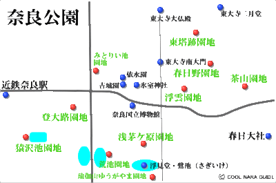 みとりい池園地（奈良公園） | わくわく奈良ガイド|奈良公園の鹿や奈良観光おすすめスポット情報